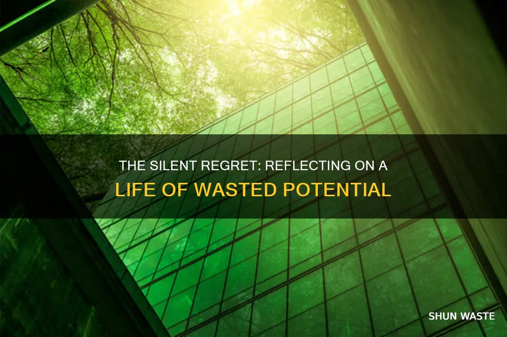 The Silent Regret: Reflecting On A Life Of Wasted Potential | ShunWaste
