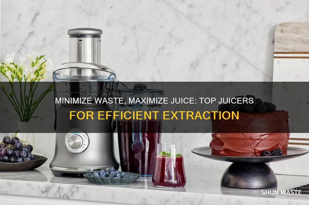 Minimize Waste, Maximize Juice: Top Juicers For Efficient Extraction ...