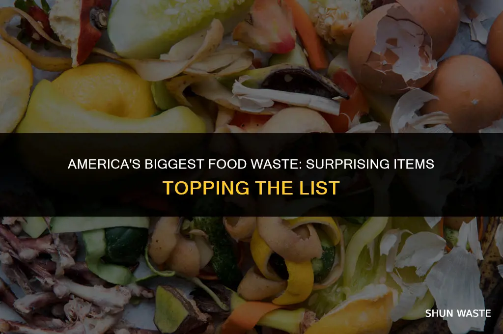 America's Biggest Food Waste: Surprising Items Topping The List | ShunWaste