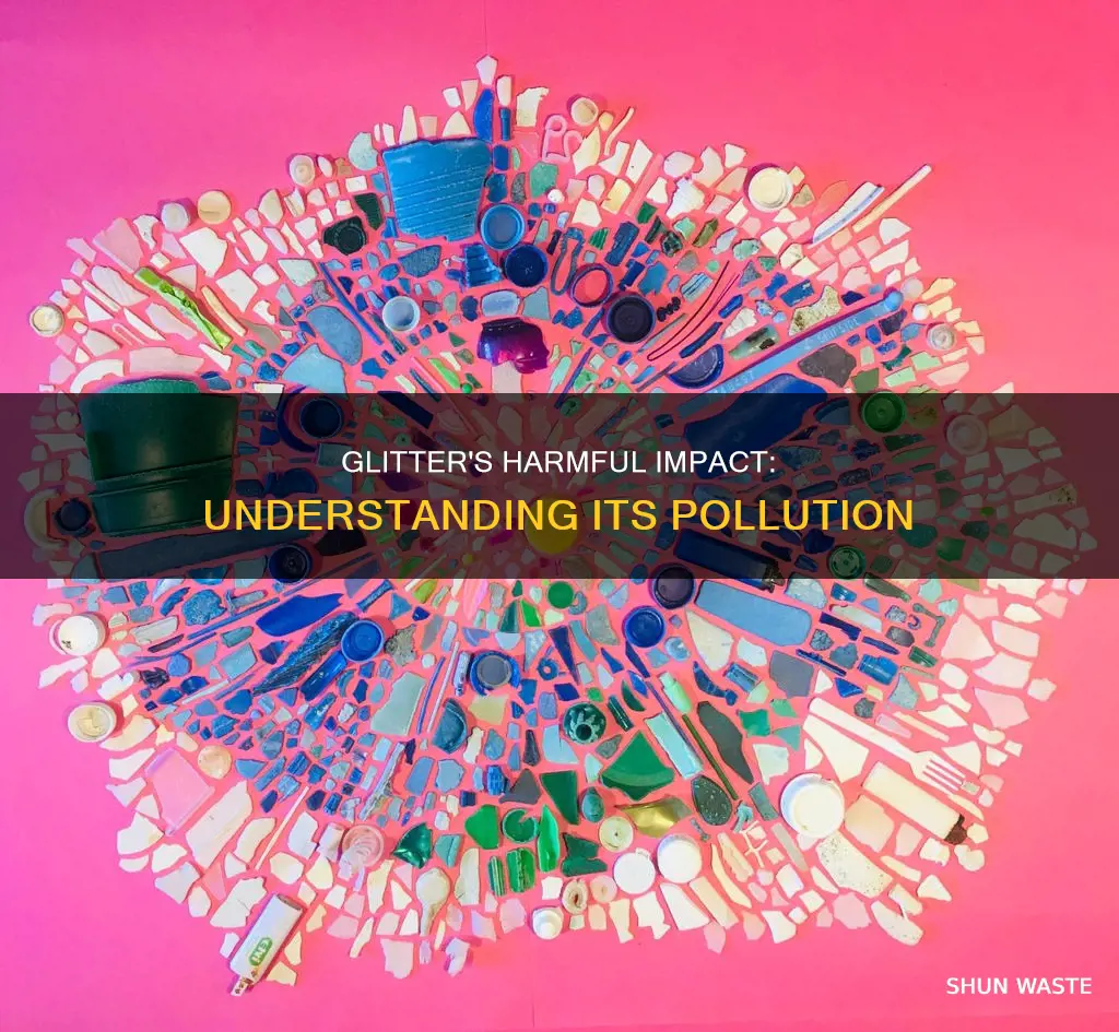 Glitter's Harmful Impact: Understanding Its Pollution | ShunWaste