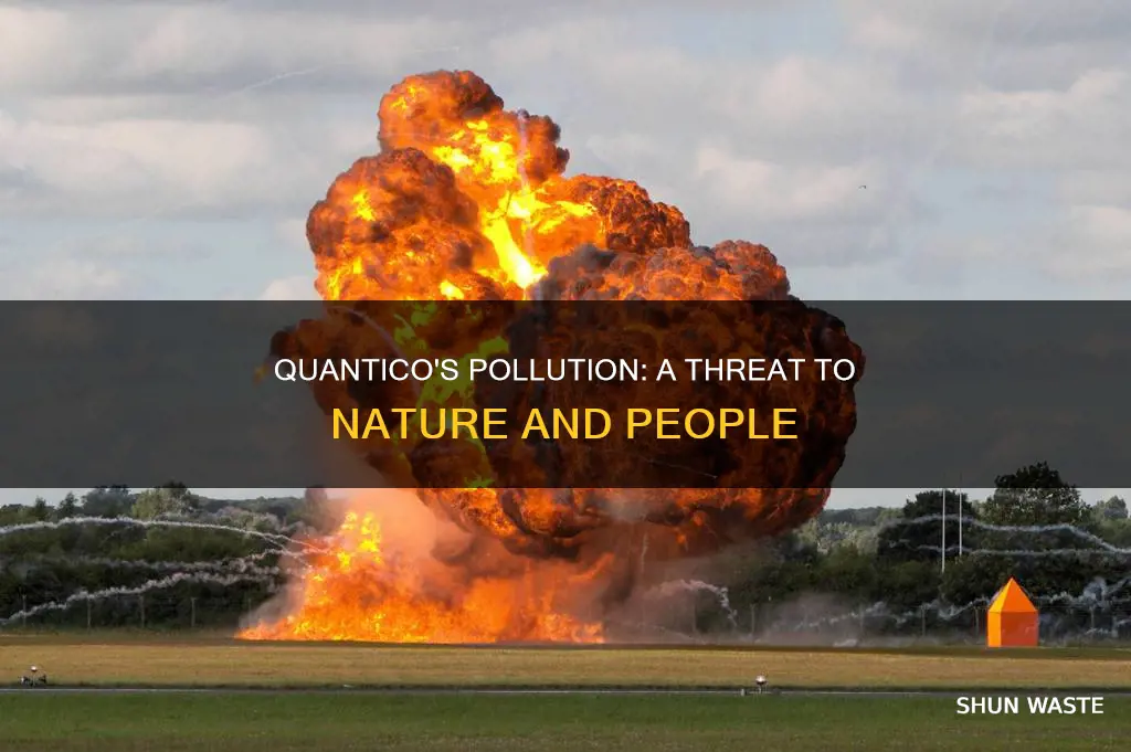 Quantico's Pollution: A Threat To Nature And People | ShunWaste