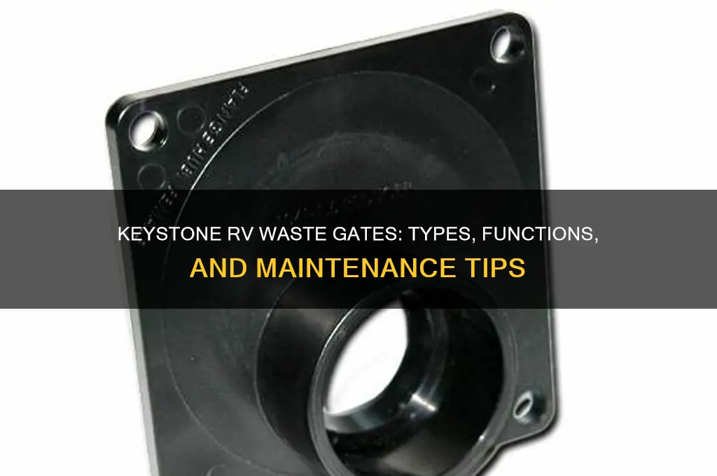 Keystone Rv Waste Gates: Types, Functions, And Maintenance Tips | ShunWaste