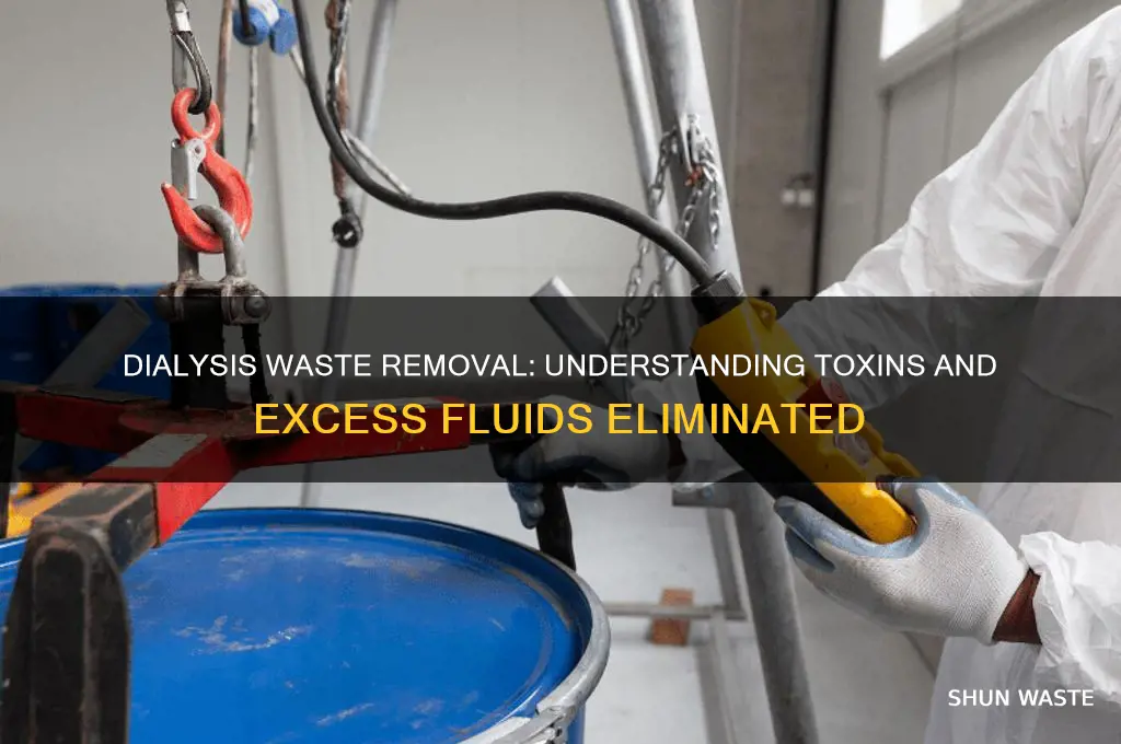 Dialysis Waste Removal: Understanding Toxins And Excess Fluids ...