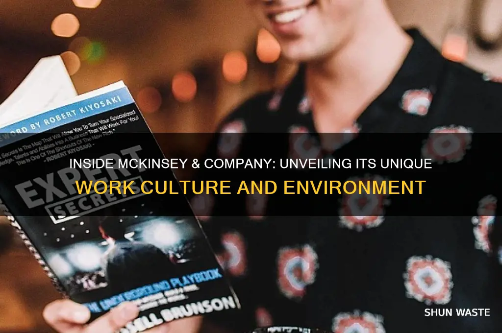 Inside Mckinsey & Company: Unveiling Its Unique Work Culture And ...
