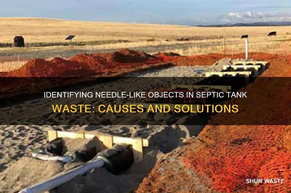 Identifying Needle-Like Objects In Septic Tank Waste: Causes And ...