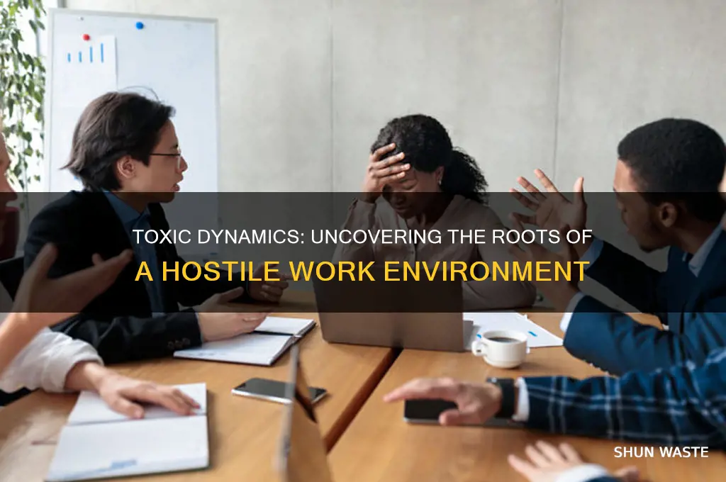 Toxic Dynamics: Uncovering The Roots Of A Hostile Work Environment ...