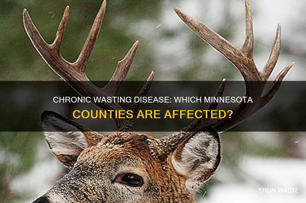 Chronic Wasting Disease: Which Minnesota Counties Are Affected? | ShunWaste