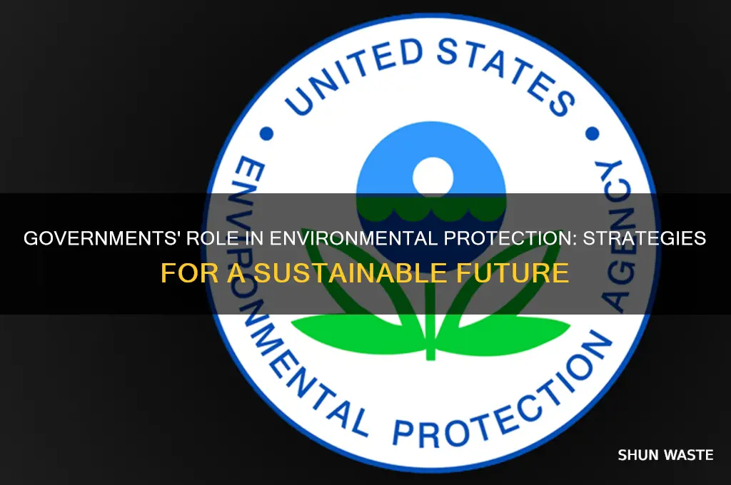 Governments' Role In Environmental Protection: Strategies For A ...