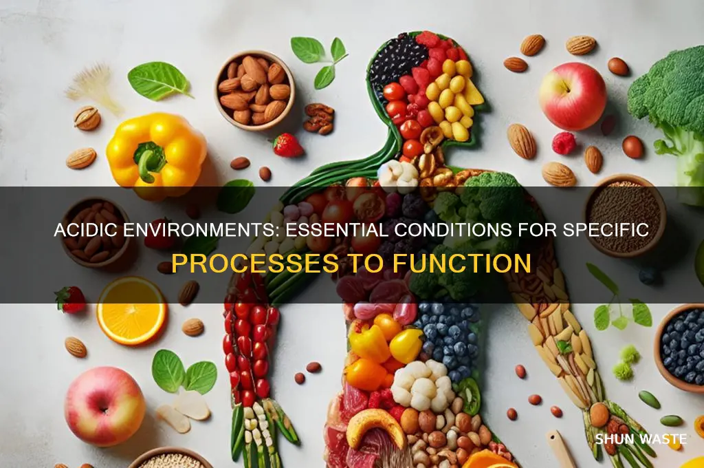 Acidic Environments: Essential Conditions For Specific Processes To ...