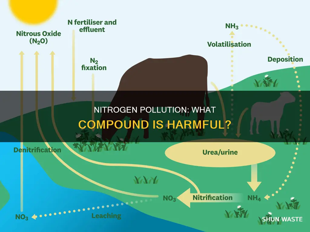 Nitrogen Pollution: What Compound Is Harmful? | ShunWaste