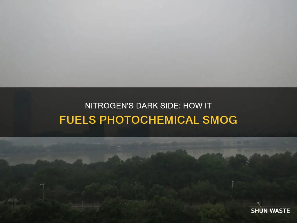 Nitrogen's Dark Side: How It Fuels Photochemical Smog | ShunWaste