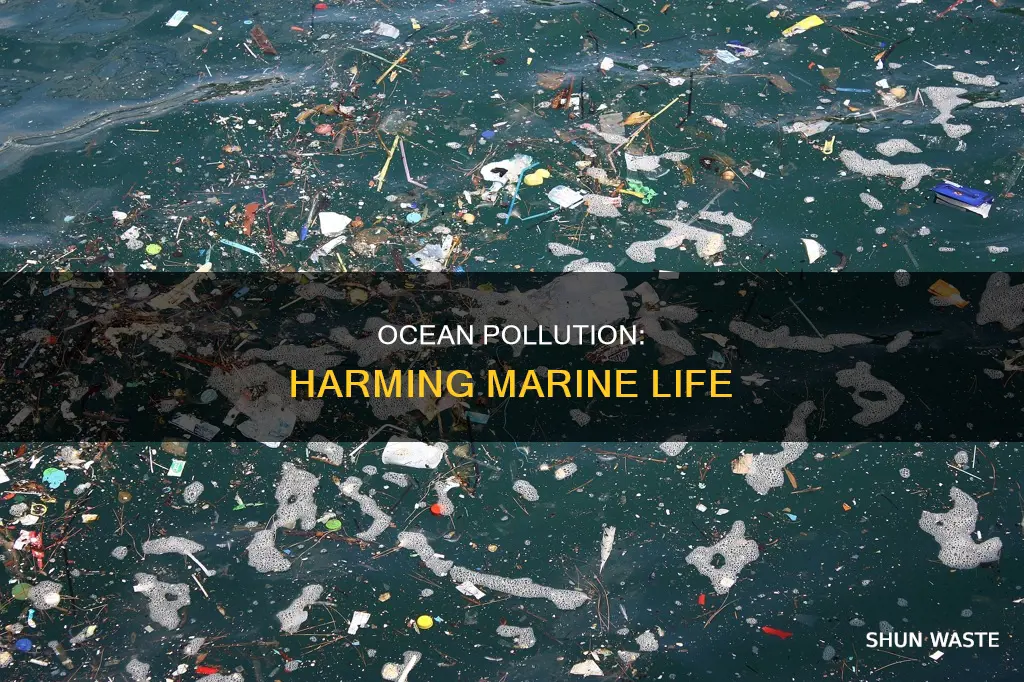 Ocean Pollution: Harming Marine Life | ShunWaste
