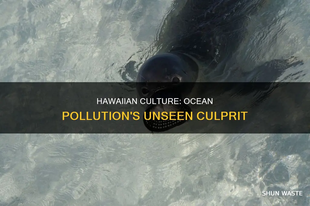 Hawaiian Culture: Ocean Pollution's Unseen Culprit | ShunWaste