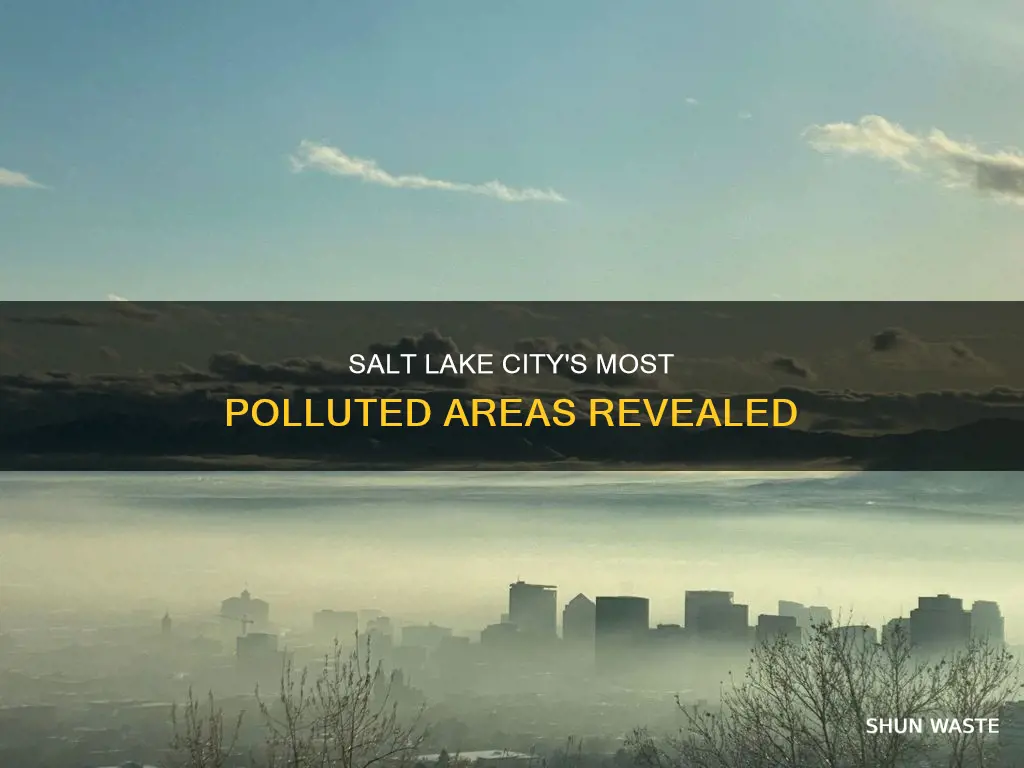 Salt Lake City's Most Polluted Areas Revealed | ShunWaste
