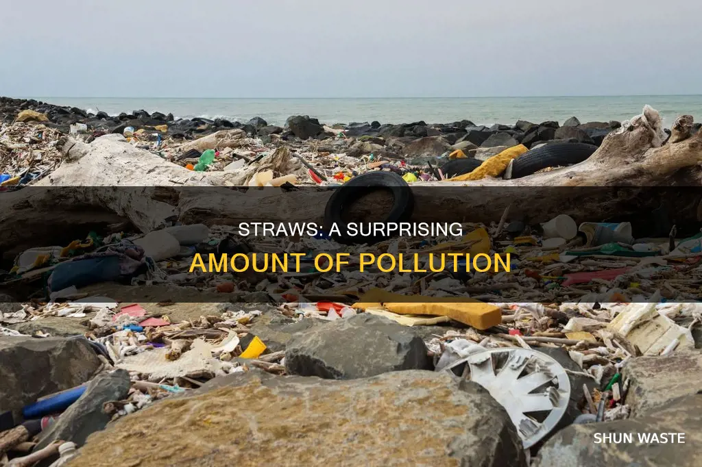 Straws: A Surprising Amount Of Pollution | ShunWaste