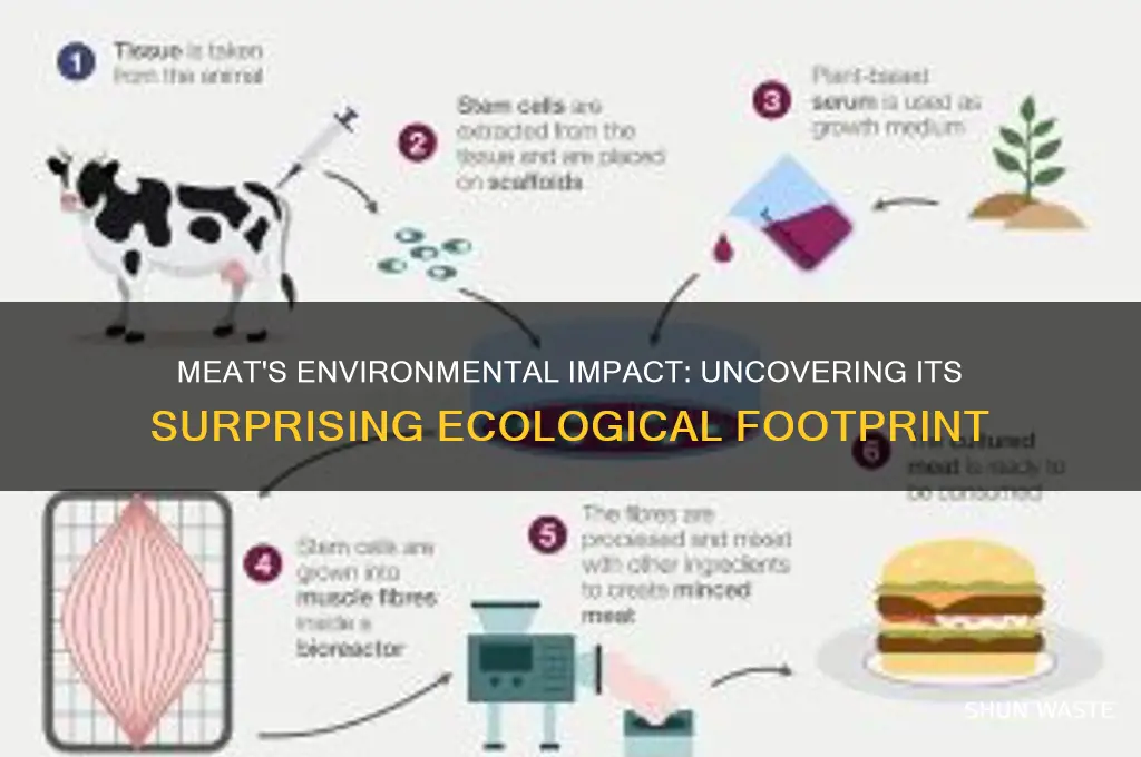 Meat's Environmental Impact: Uncovering Its Surprising Ecological ...