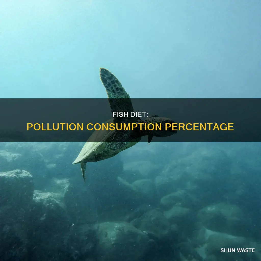 Fish Diet: Pollution Consumption Percentage | ShunWaste