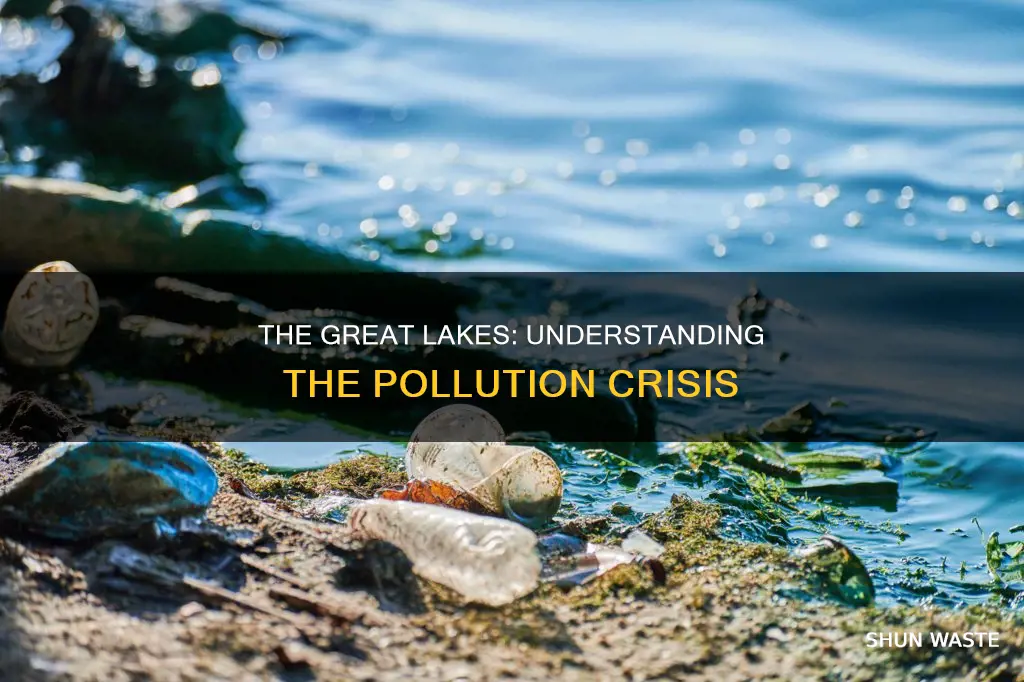 The Great Lakes: Understanding The Pollution Crisis | ShunWaste