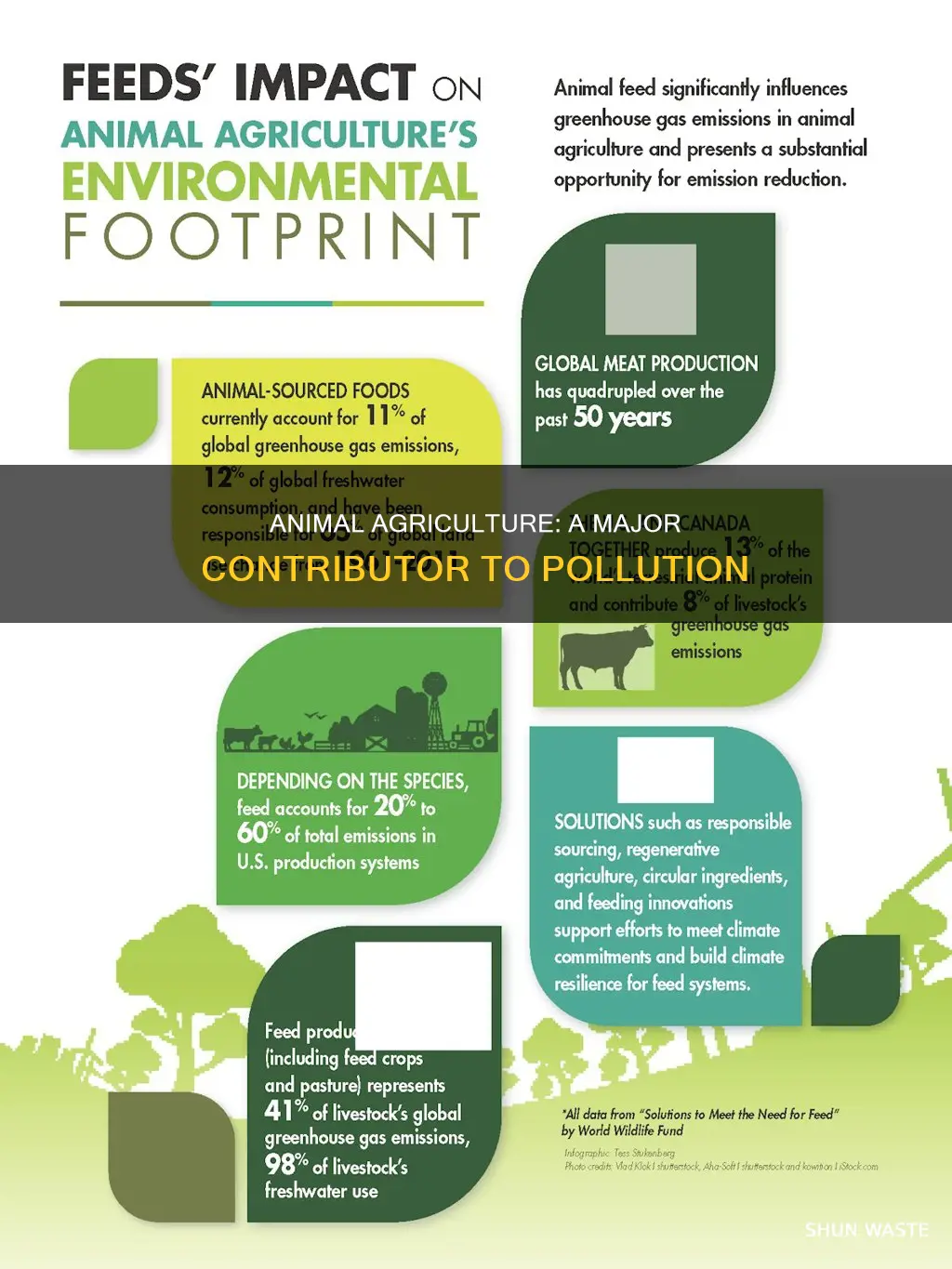Animal Agriculture: A Major Contributor To Pollution | ShunWaste