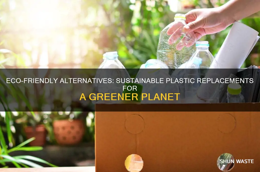 Eco-Friendly Alternatives: Sustainable Plastic Replacements For A ...