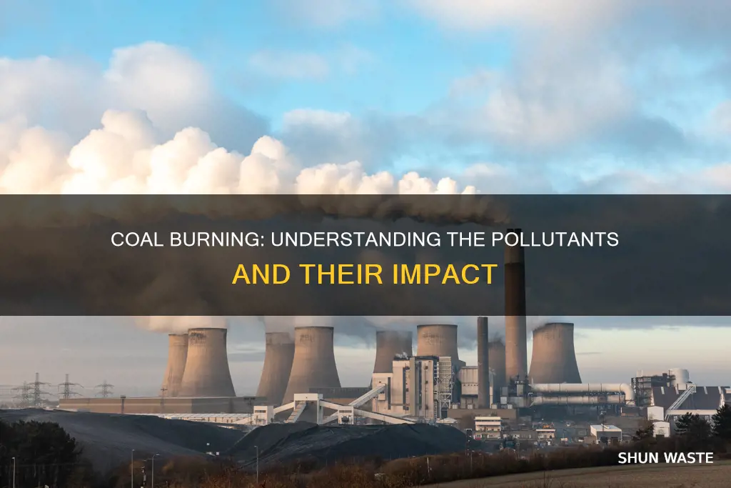 Coal Burning: Understanding The Pollutants And Their Impact | ShunWaste