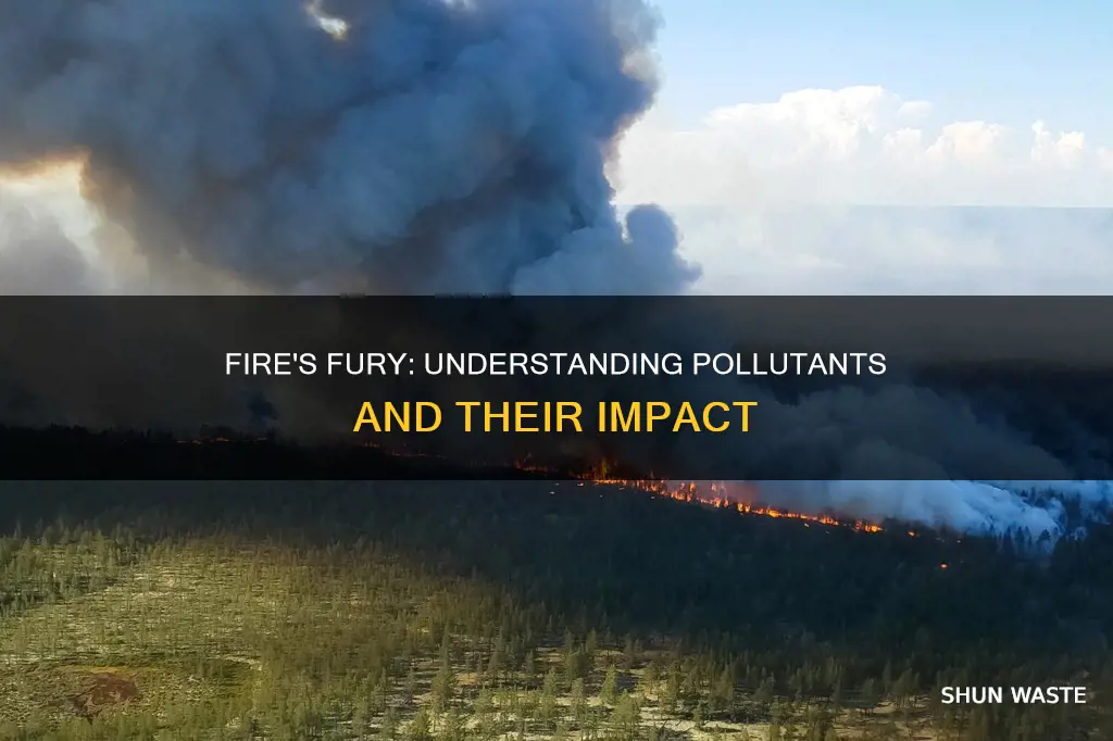 Fire's Fury: Understanding Pollutants And Their Impact | ShunWaste