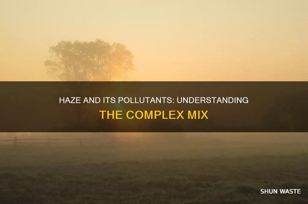 Haze And Its Pollutants: Understanding The Complex Mix | ShunWaste