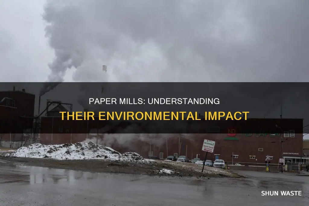 Paper Mills: Understanding Their Environmental Impact | ShunWaste
