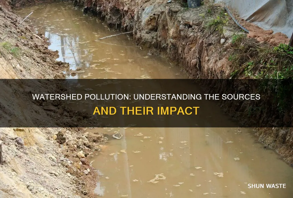 Watershed Pollution: Understanding The Sources And Their Impact | ShunWaste