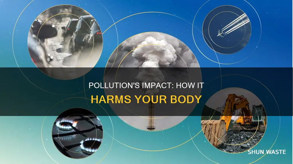Pollution's Impact: How It Harms Your Body | ShunWaste