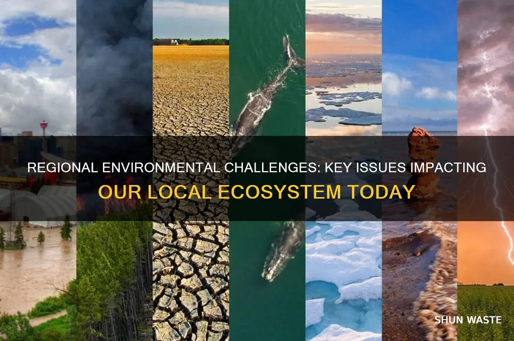 Regional Environmental Challenges: Key Issues Impacting Our Local ...