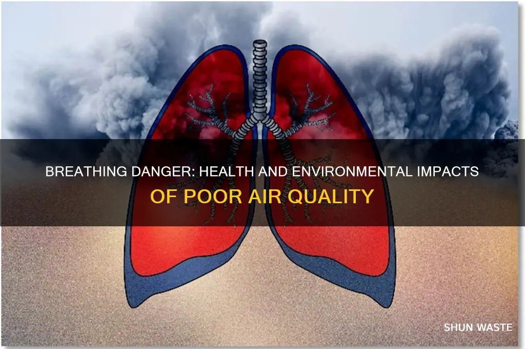 Breathing Danger: Health And Environmental Impacts Of Poor Air Quality ...