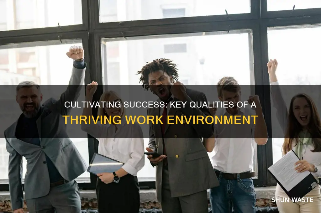 Cultivating Success: Key Qualities Of A Thriving Work Environment ...