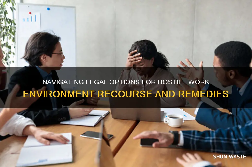 Navigating Legal Options For Hostile Work Environment Recourse And ...