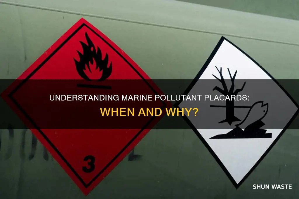 Understanding Marine Pollutant Placards: When And Why? | ShunWaste
