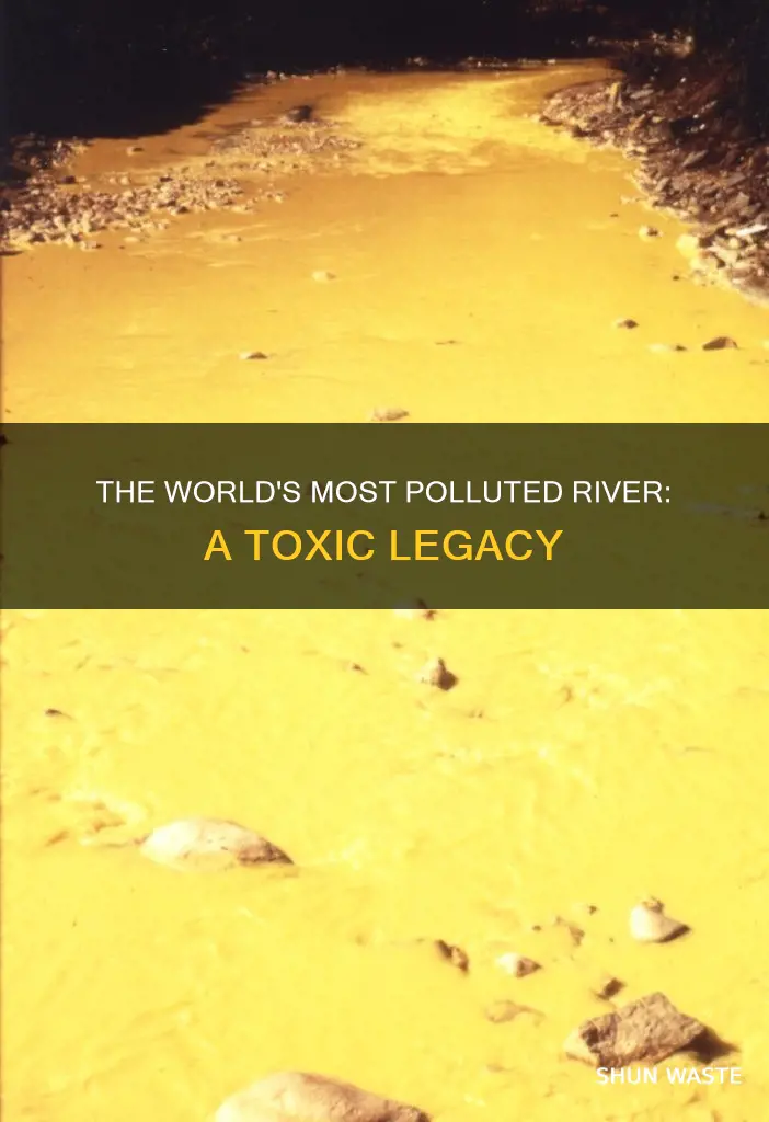 The World's Most Polluted River: A Toxic Legacy | ShunWaste