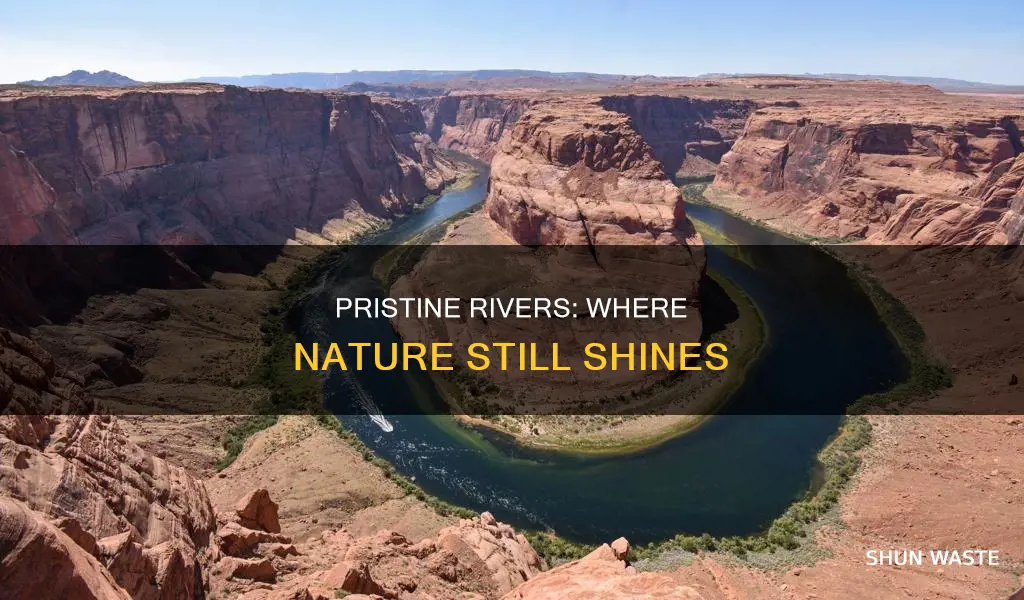 Pristine Rivers: Where Nature Still Shines | ShunWaste