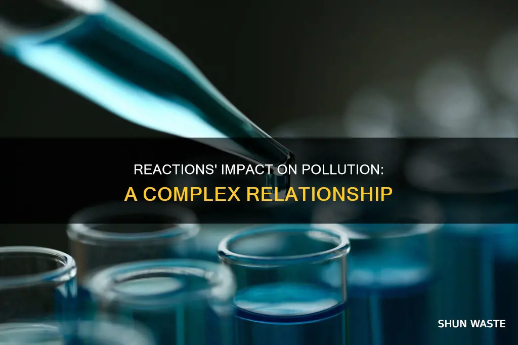 Reactions' Impact On Pollution: A Complex Relationship | ShunWaste