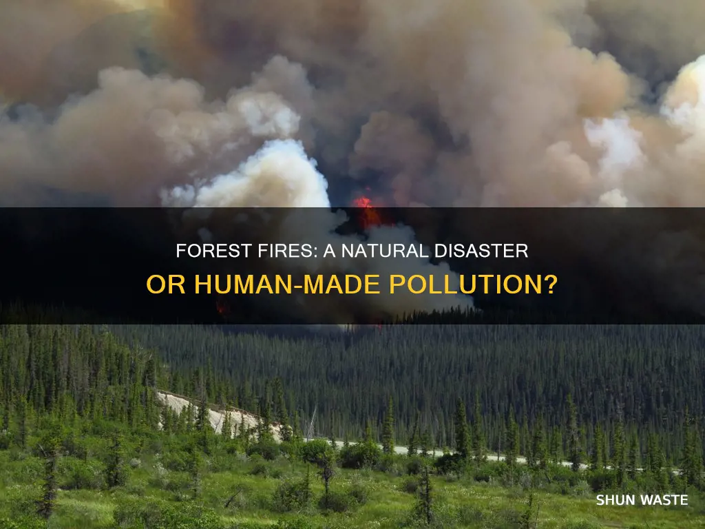 Forest Fires: A Natural Disaster Or Human-Made Pollution? | ShunWaste