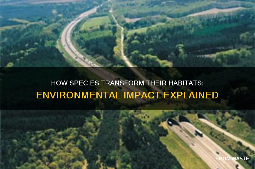 How Species Transform Their Habitats: Environmental Impact Explained ...