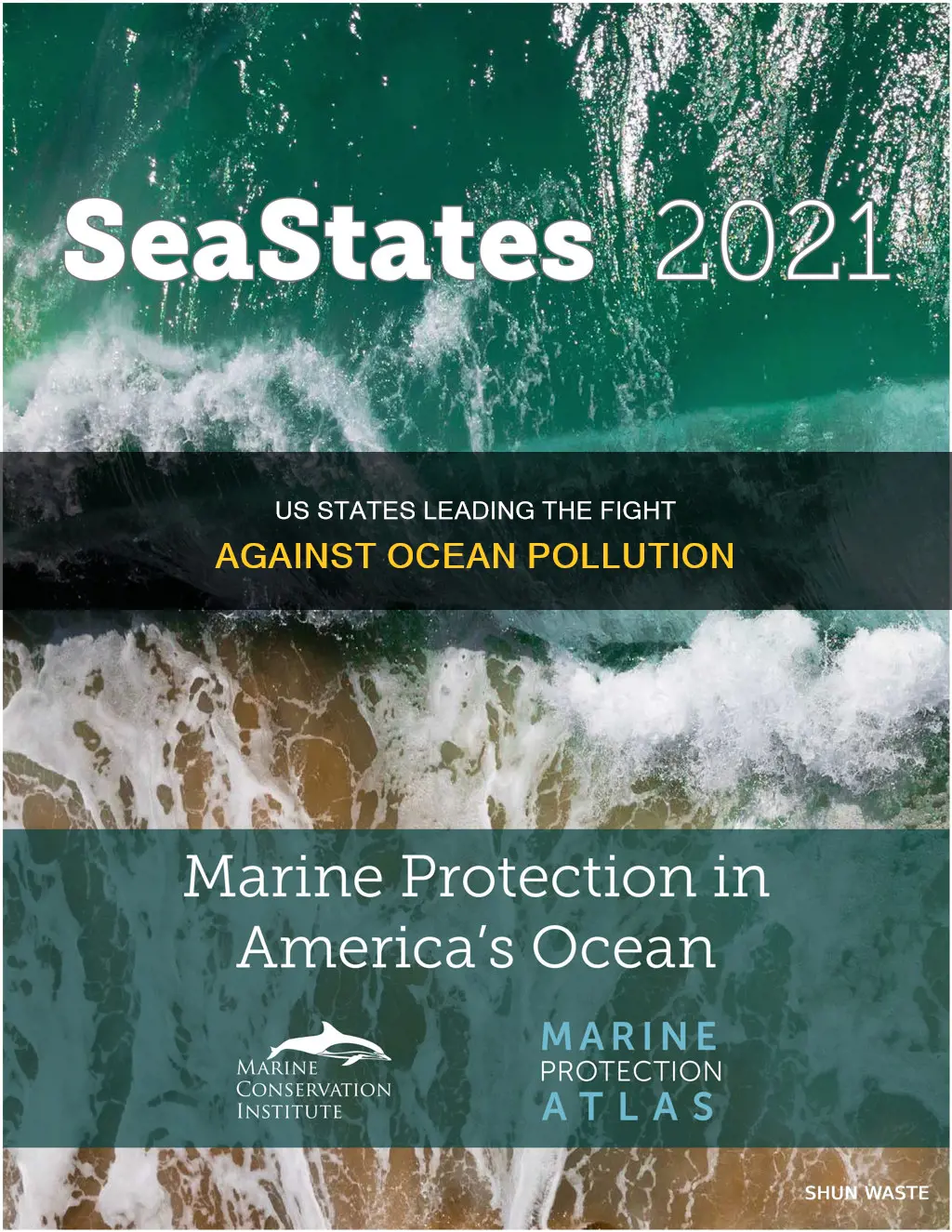 Us States Leading The Fight Against Ocean Pollution | ShunWaste