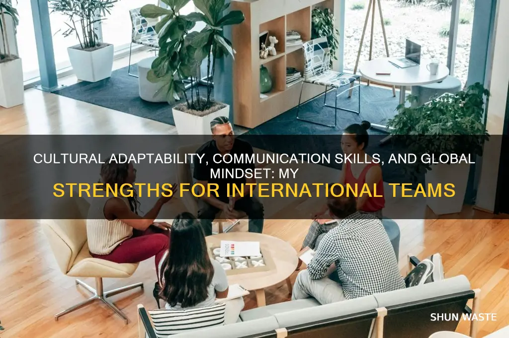 Cultural Adaptability, Communication Skills, And Global Mindset: My ...