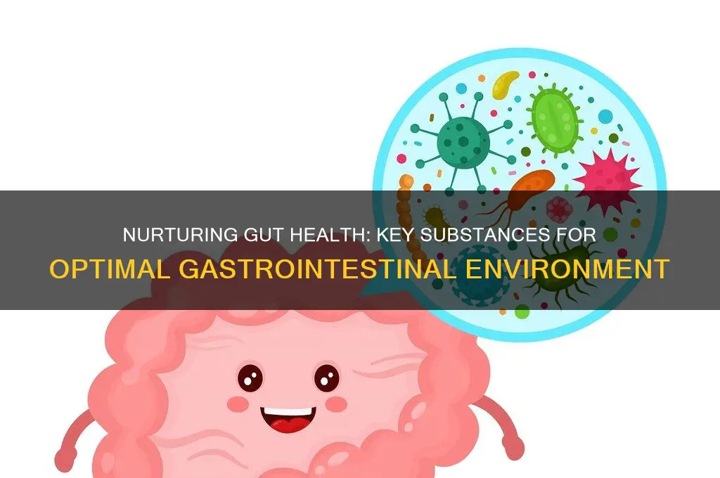 Nurturing Gut Health: Key Substances For Optimal Gastrointestinal ...