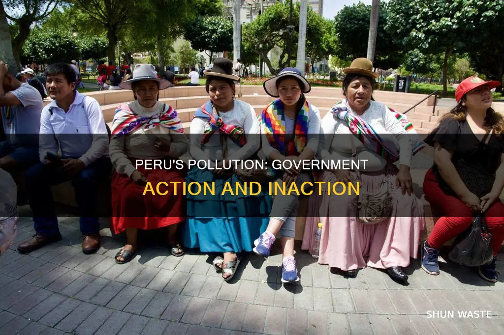 Peru's Pollution: Government Action And Inaction | ShunWaste