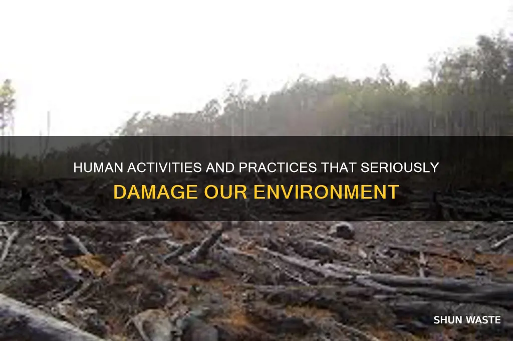 Human Activities And Practices That Seriously Damage Our Environment ...
