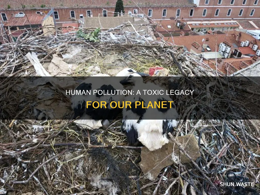 Human Pollution: A Toxic Legacy For Our Planet | ShunWaste
