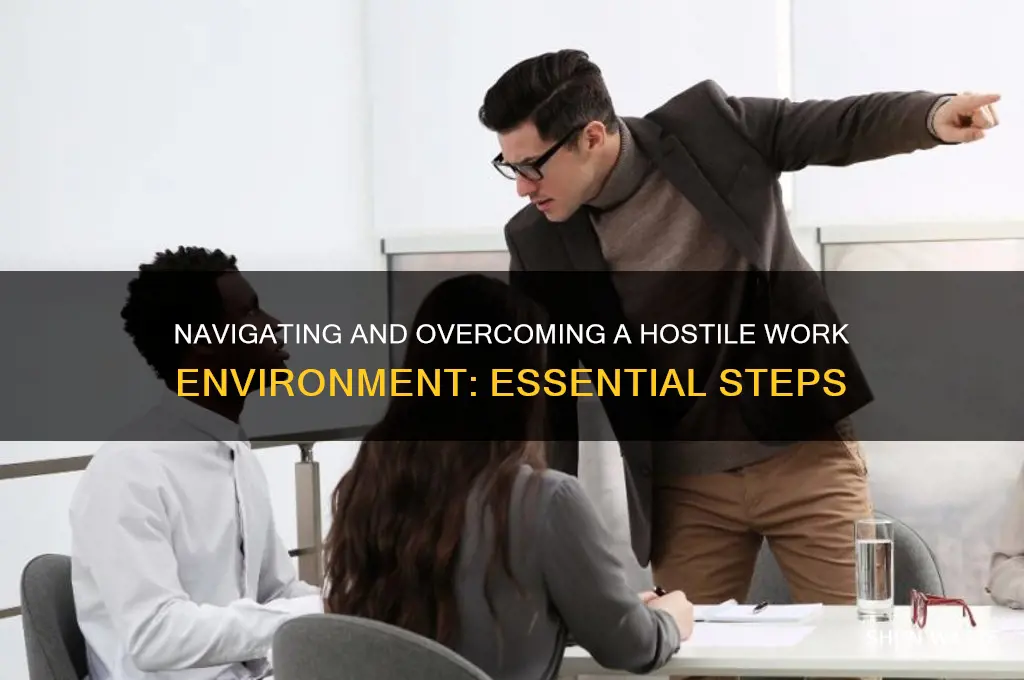 Navigating And Overcoming A Hostile Work Environment: Essential Steps ...