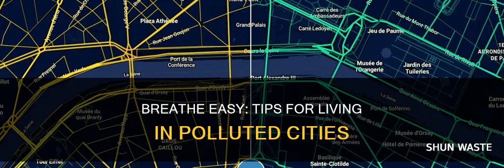 Breathe Easy: Tips For Living In Polluted Cities | ShunWaste