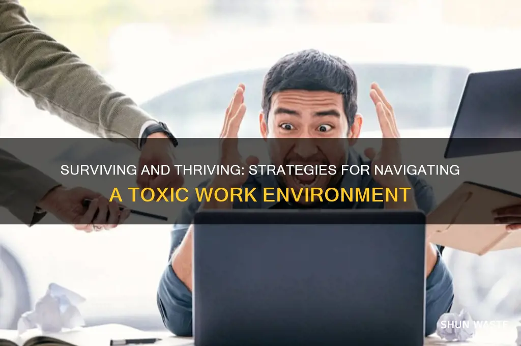 Surviving And Thriving: Strategies For Navigating A Toxic Work ...
