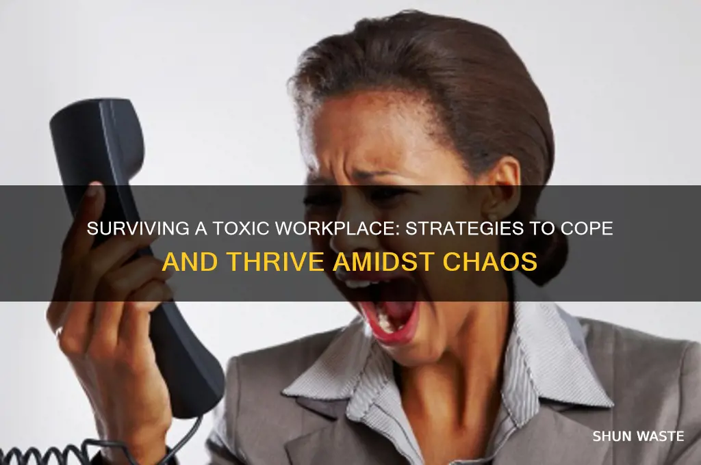 Surviving A Toxic Workplace: Strategies To Cope And Thrive Amidst Chaos ...
